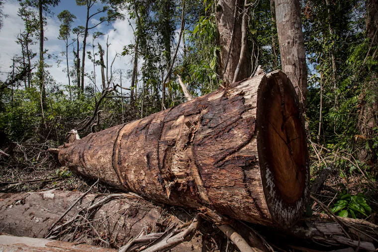 21 Little Things You Can Do To Help The Environment That Are Super Easy ...