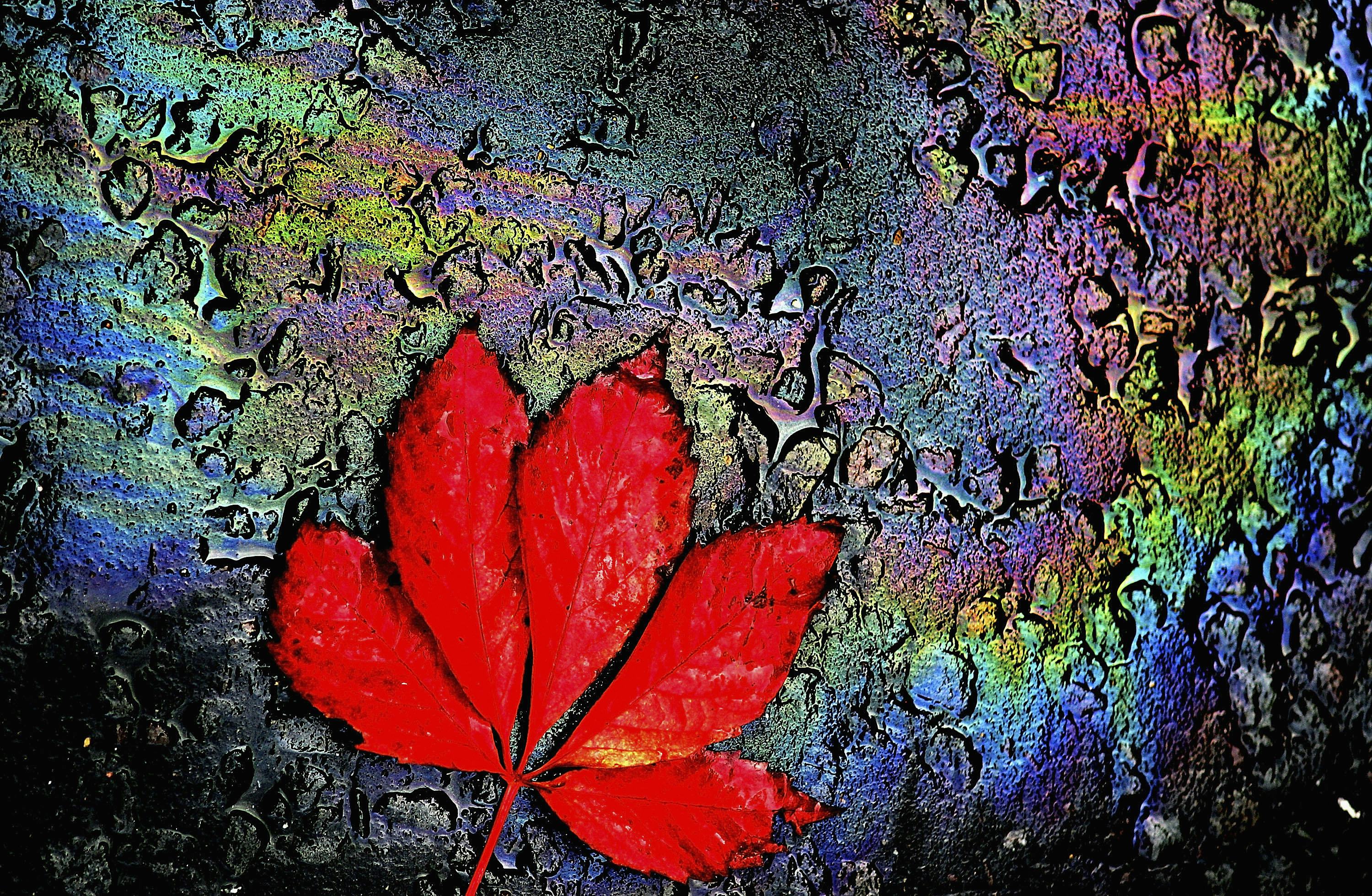 10 Autumn Quotes To Get You Excited About the First Day of Fall