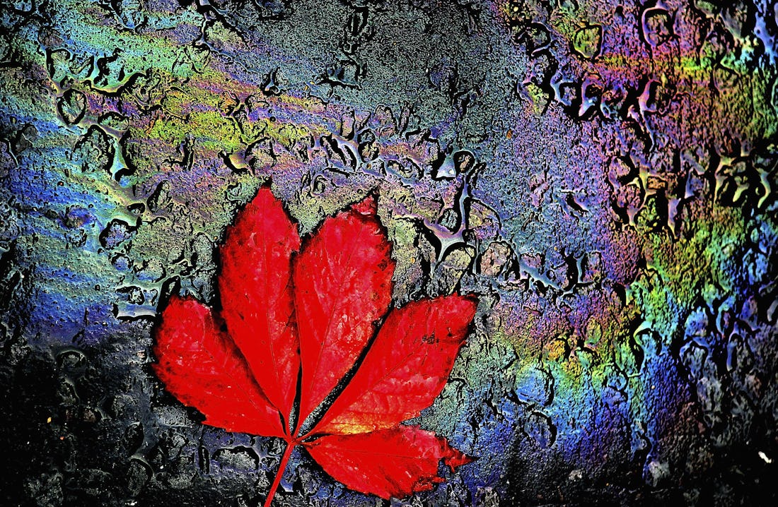 10 Autumn Quotes To Get You Excited About the First Day of Fall