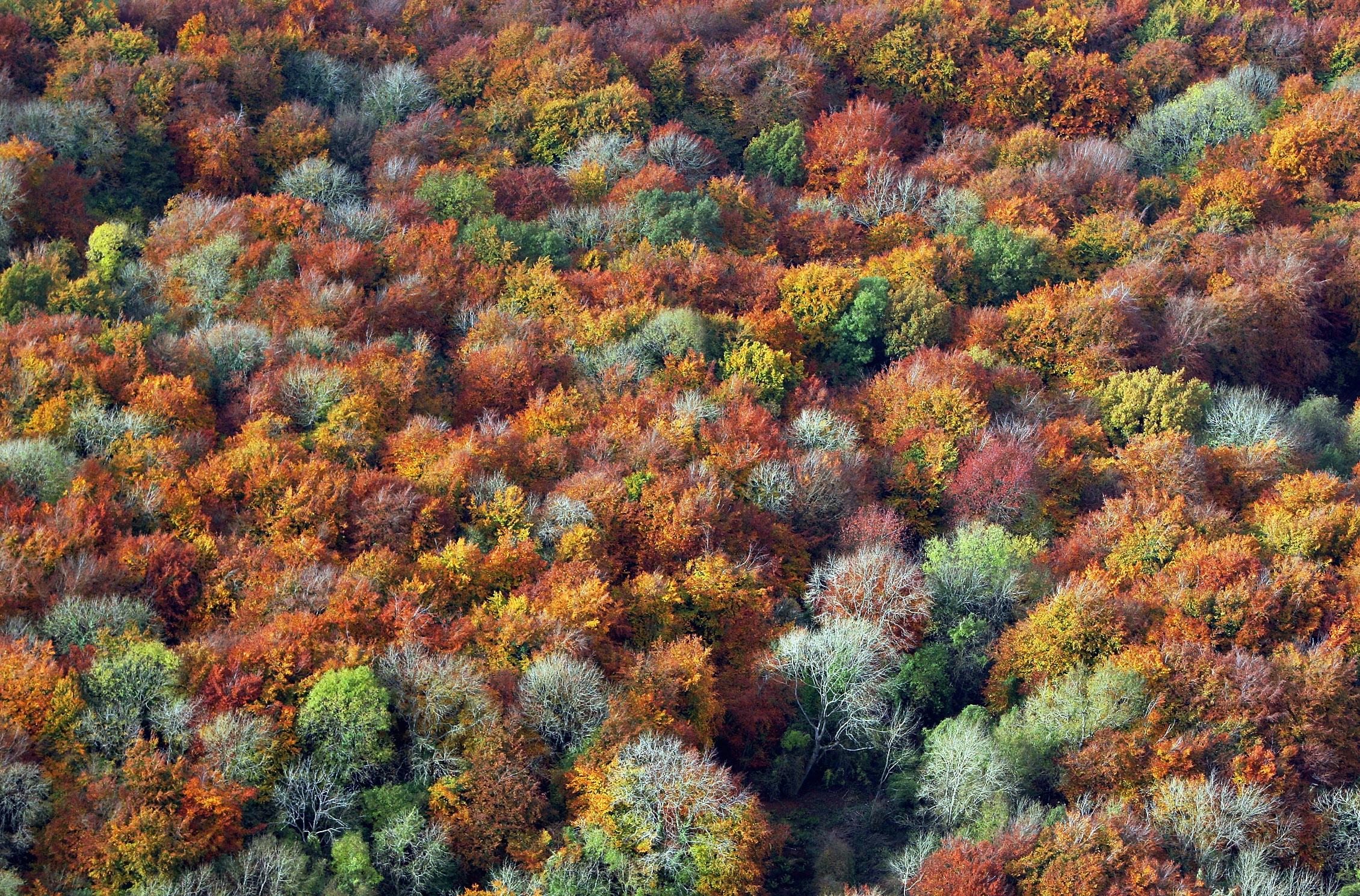 13 Autumn Quotes From Books That'll Make Your Fall Even Cozier