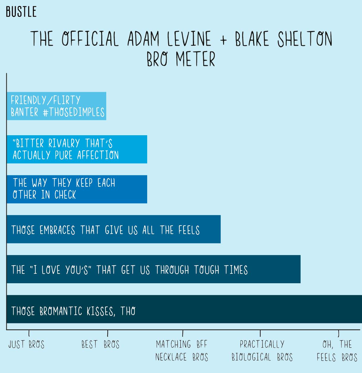 Here's Your Official Blake Shelton & Adam Levine Bromance Meter — CHART
