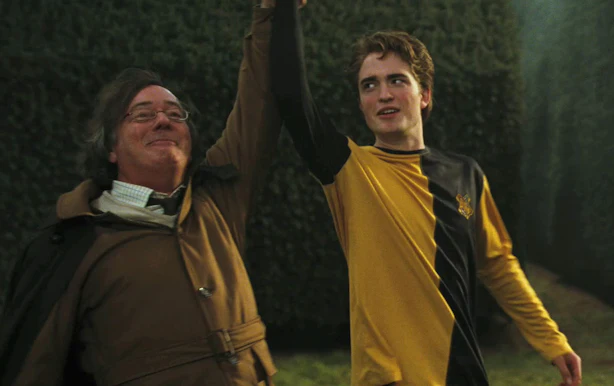 10 Harry Potter Parents, Ranked