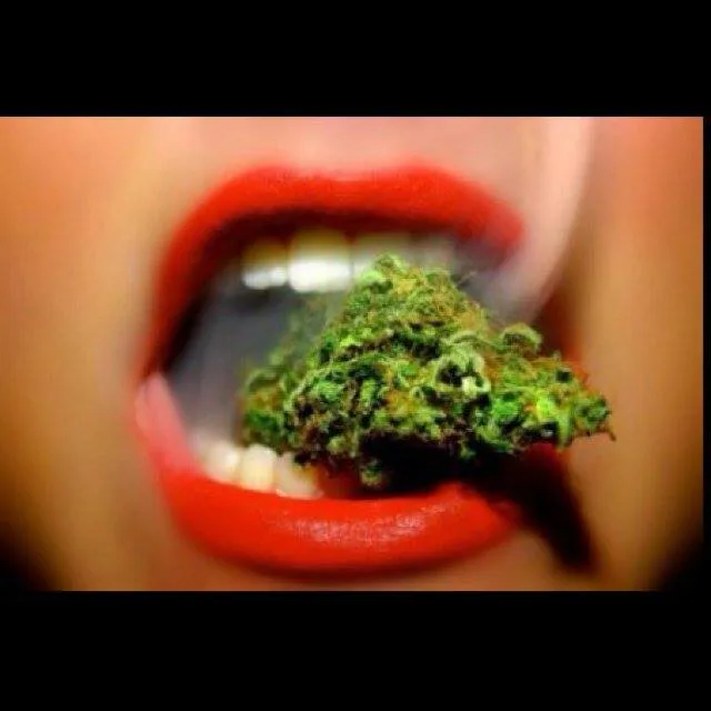 A Weed Tupperware Party Might Be Just What Women Need To Break Into The ...