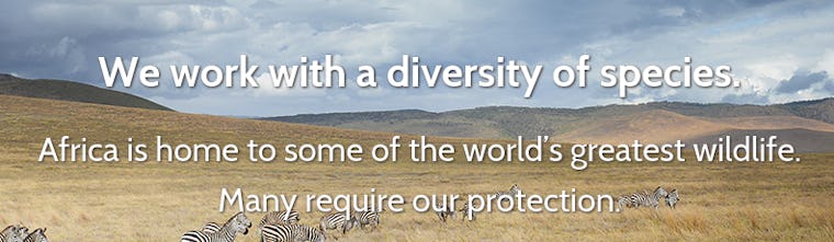 5 Underappreciated Animal Rights Groups You Should Know About, Because ...