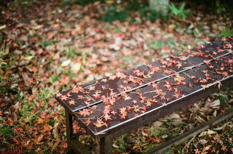 6 Fall Poems That Perfectly Sum Up Why This Is The Most Beautiful ...