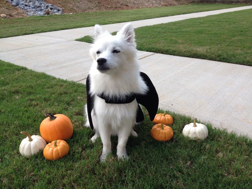 10 Signs You're Completely Obsessed With Halloween