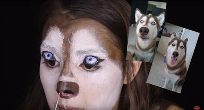 Dog Makeup Tutorial By Ilana Makeup Artist Will Impress You & Give You ...