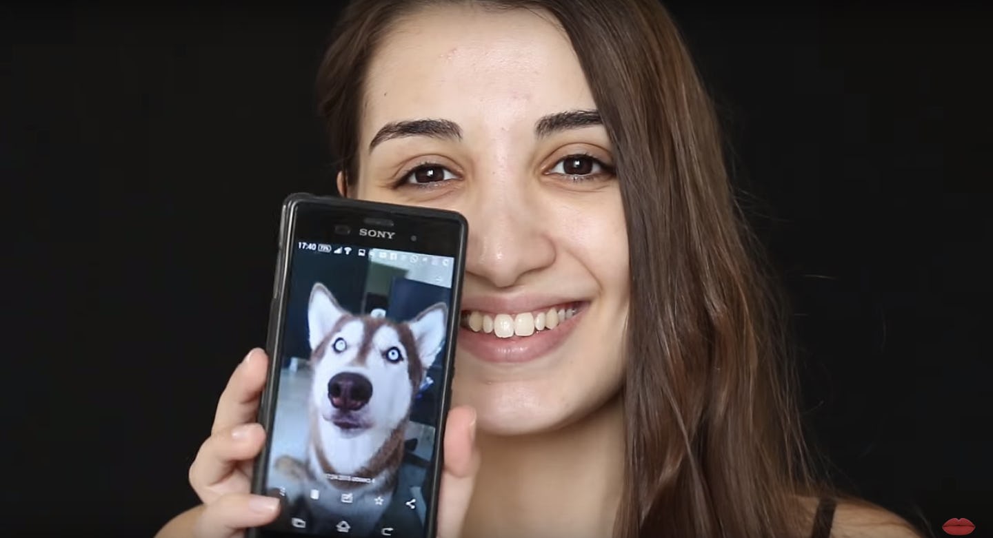 Dog Makeup Tutorial By Ilana Makeup Artist Will Impress You & Give You ...