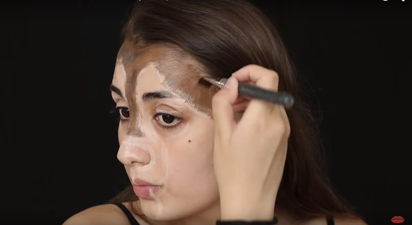 Dog Makeup Tutorial By Ilana Makeup Artist Will Impress You & Give You ...