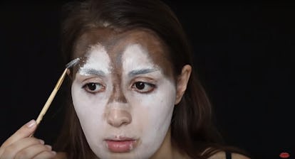 Dog Makeup Tutorial By Ilana Makeup Artist Will Impress You & Give You ...