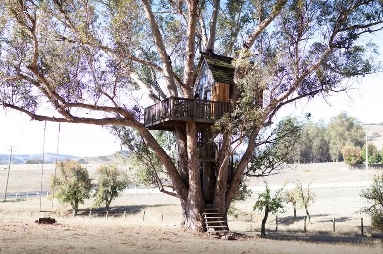 13 Unbelievable Tree Houses From Around The World For Unforgettable ...
