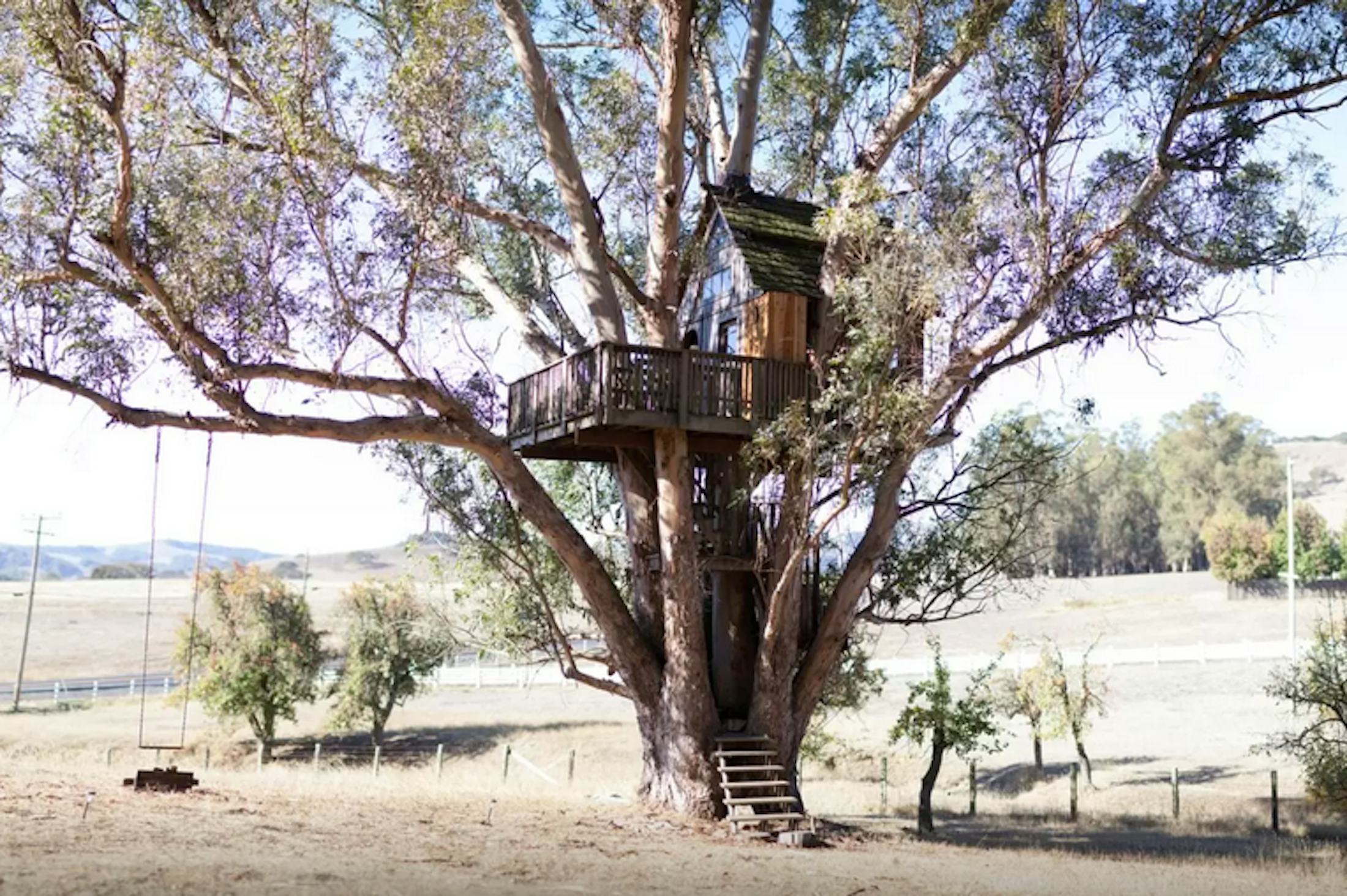 13 Unbelievable Tree Houses From Around The World For Unforgettable ...