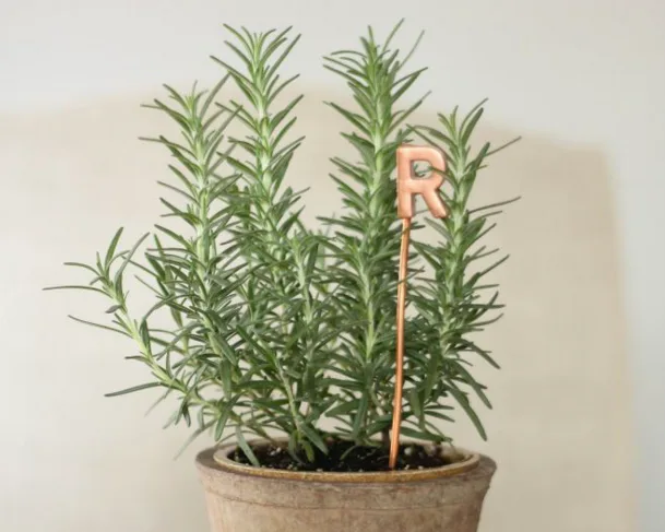 20 DIY Mother's Day Gifts For 2016 You Can Put Your Heart And Soul Into