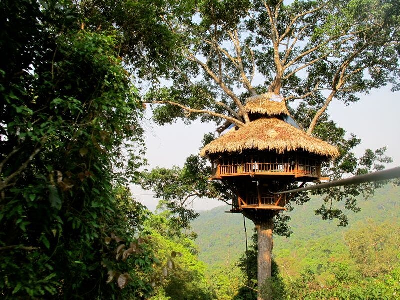 13 Unbelievable Tree Houses From Around The World For Unforgettable ...