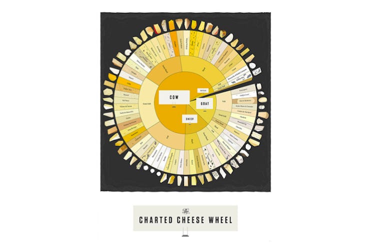 20 National Cheese Lovers Day Accessories That Will Make Any Cheese ...