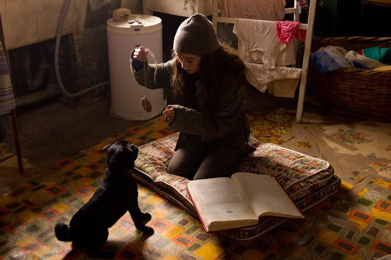 Dominic Monaghan Talks 'Molly Moon' Magic & That Kids' Movie 'Lord Of ...