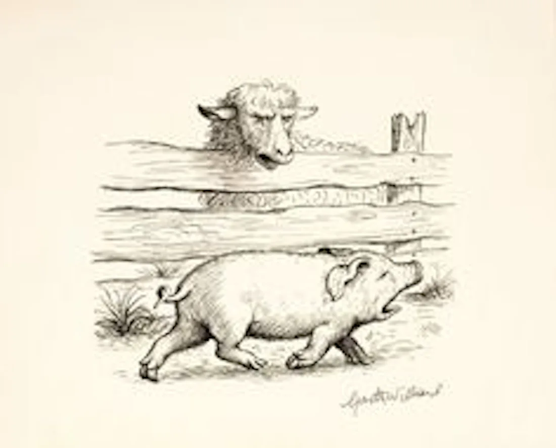 27 Ways 'Charlotte's Web' Taught Us To Be Better Grown-Ups