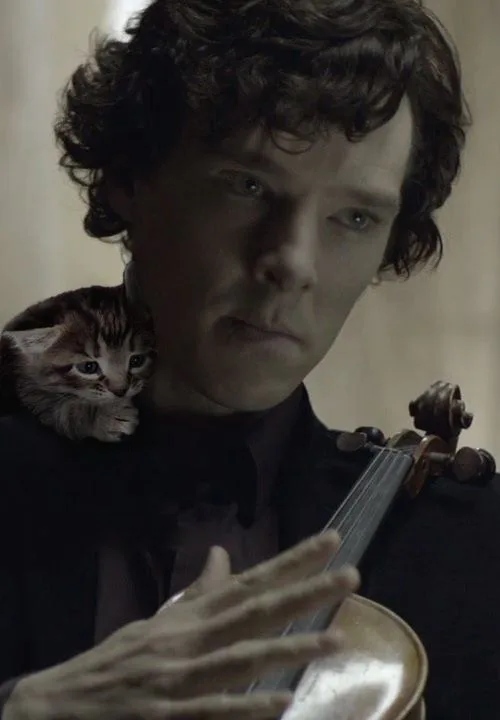 This Benedict Cumberbatch Halloween Costume Will Make You the Meme of ...