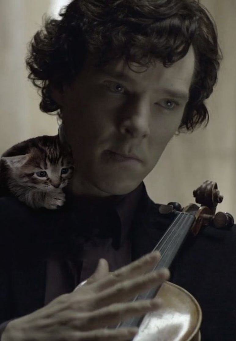 This Benedict Cumberbatch Halloween Costume Will Make You the Meme of ...