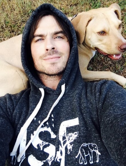 Ian Somerhalder & Nikki Reed Have Added a Kitten to Their Extensive Pet ...