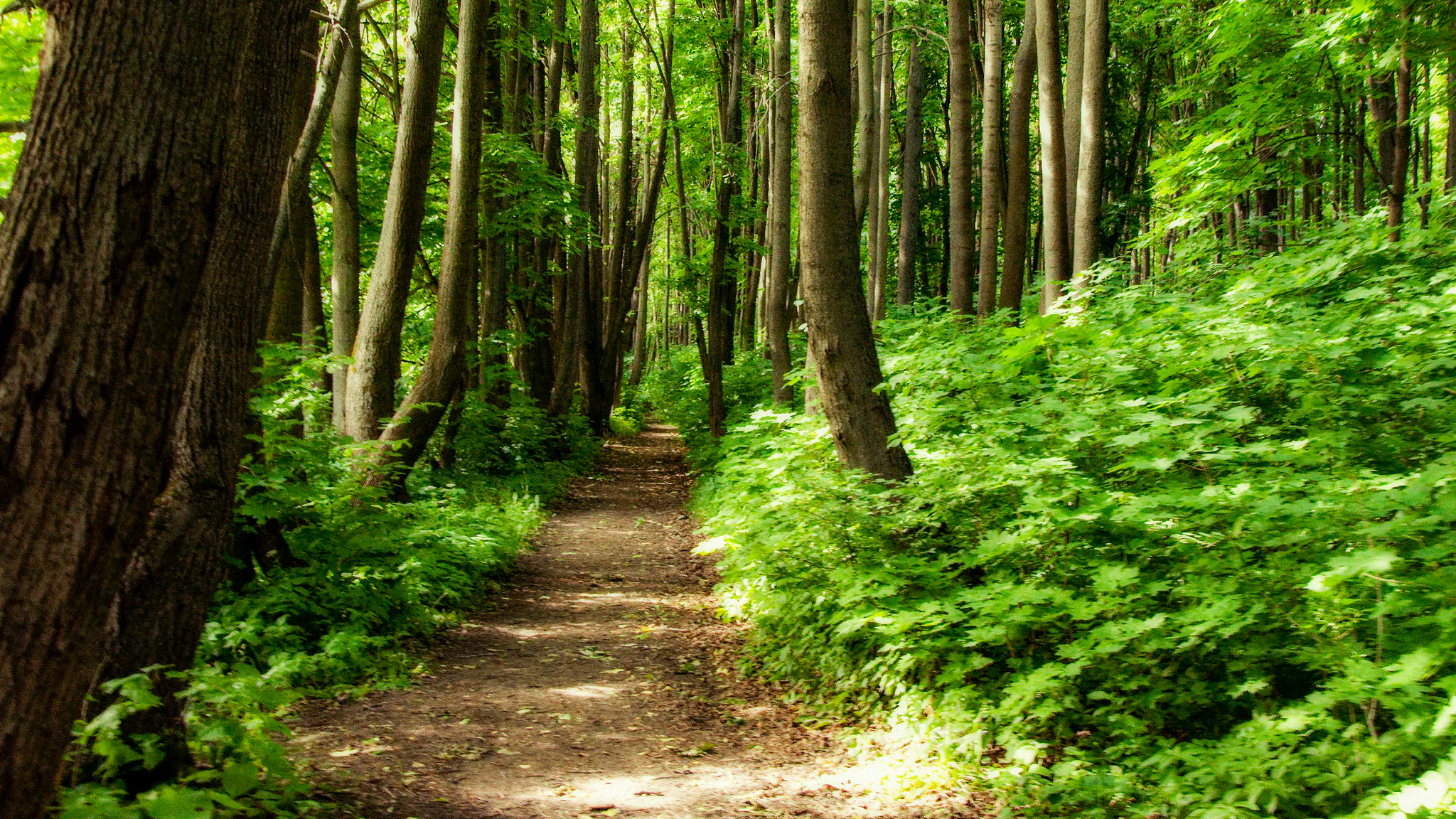 17 Beautifully Written Final Lines In Literature That Make For ...