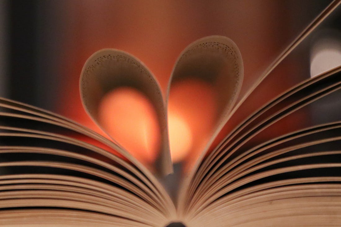 27 Beautiful Quotes On Reading And The Joy That It Brings