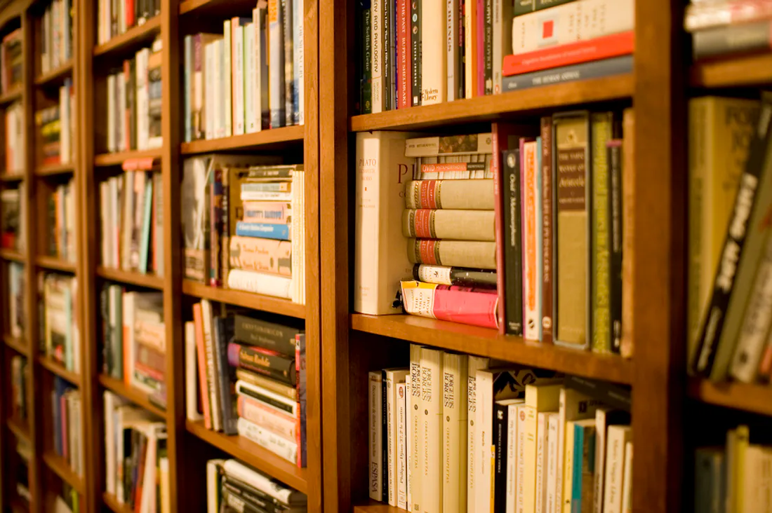 27 Beautiful Quotes On Reading And The Joy That It Brings