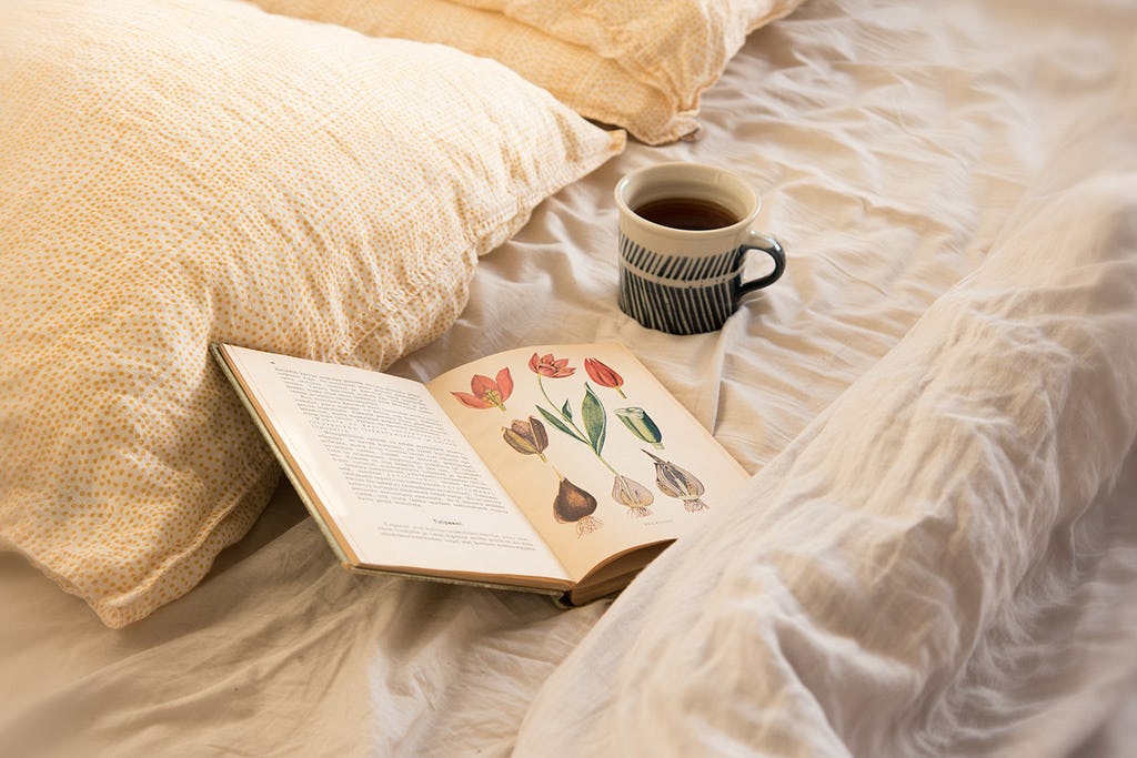 10 Of The Best Spring Break Vacation Spots For Book Nerds