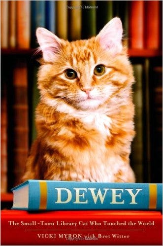 11 Books That Are Purrfect For Every Proud Crazy Cat Lady