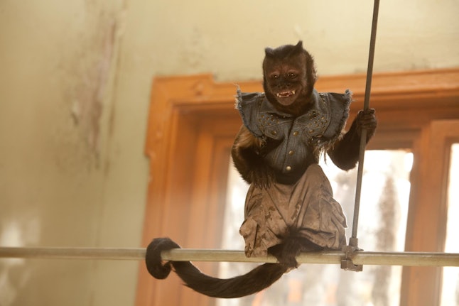 All The Times Animal Actors Played Two Iconic Roles In The '90s & Early ...