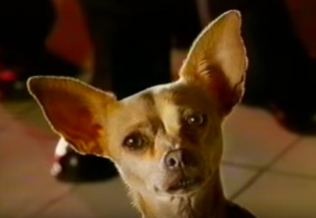All The Times Animal Actors Played Two Iconic Roles In The '90s & Early ...