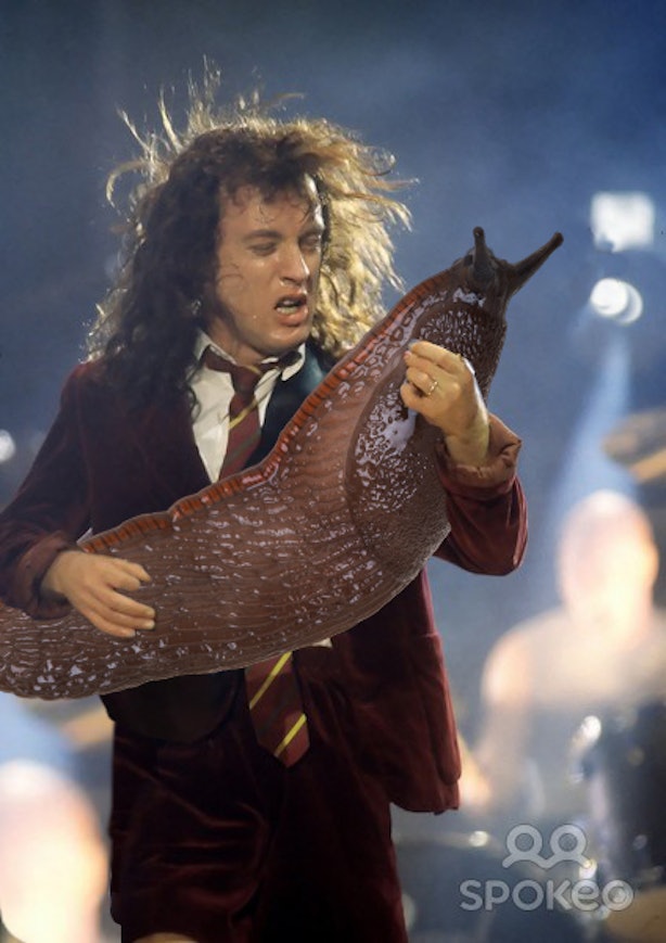 Tumblr's "Slug Solos" Replaces Rockstars' Guitars With Slugs & Yeah, It ...