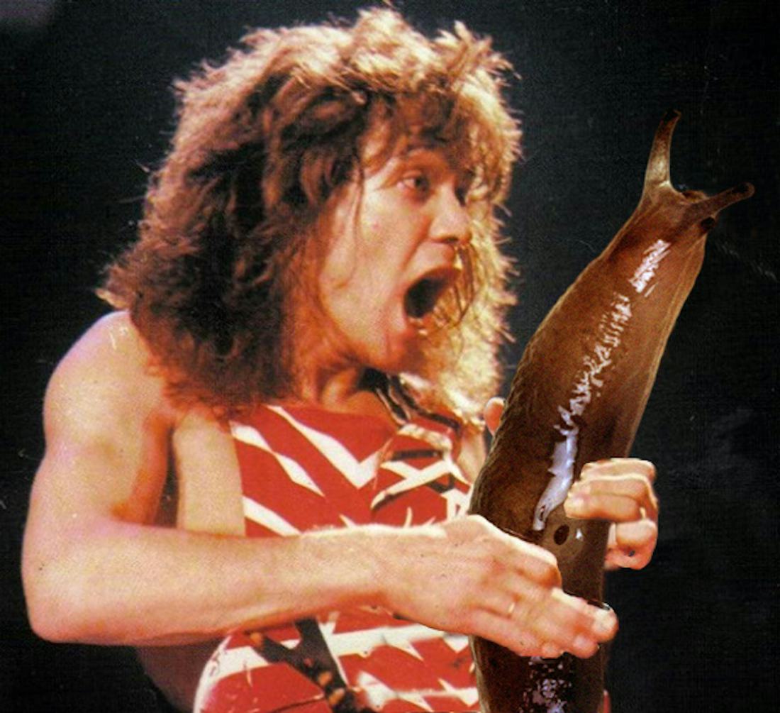 Tumblr's "Slug Solos" Replaces Rockstars' Guitars With Slugs & Yeah, It ...