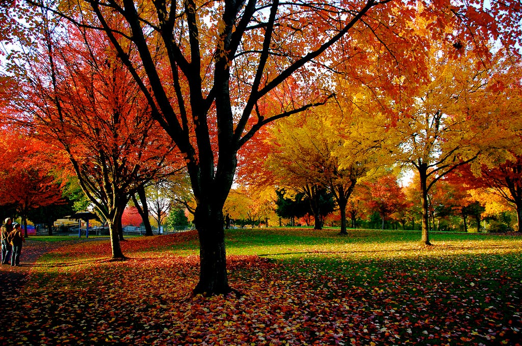 20 Fall Date Ideas That Prove This Season Is The Best For Love