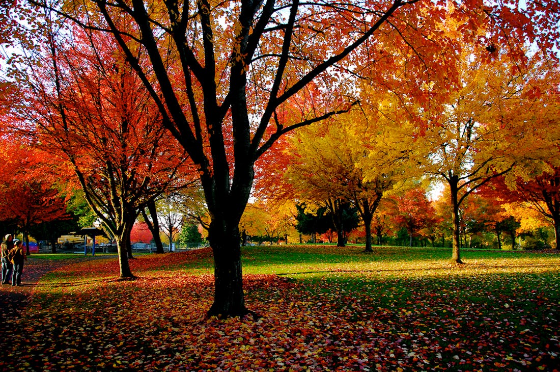 20 Fall Date Ideas That Prove This Season Is The Best For Love