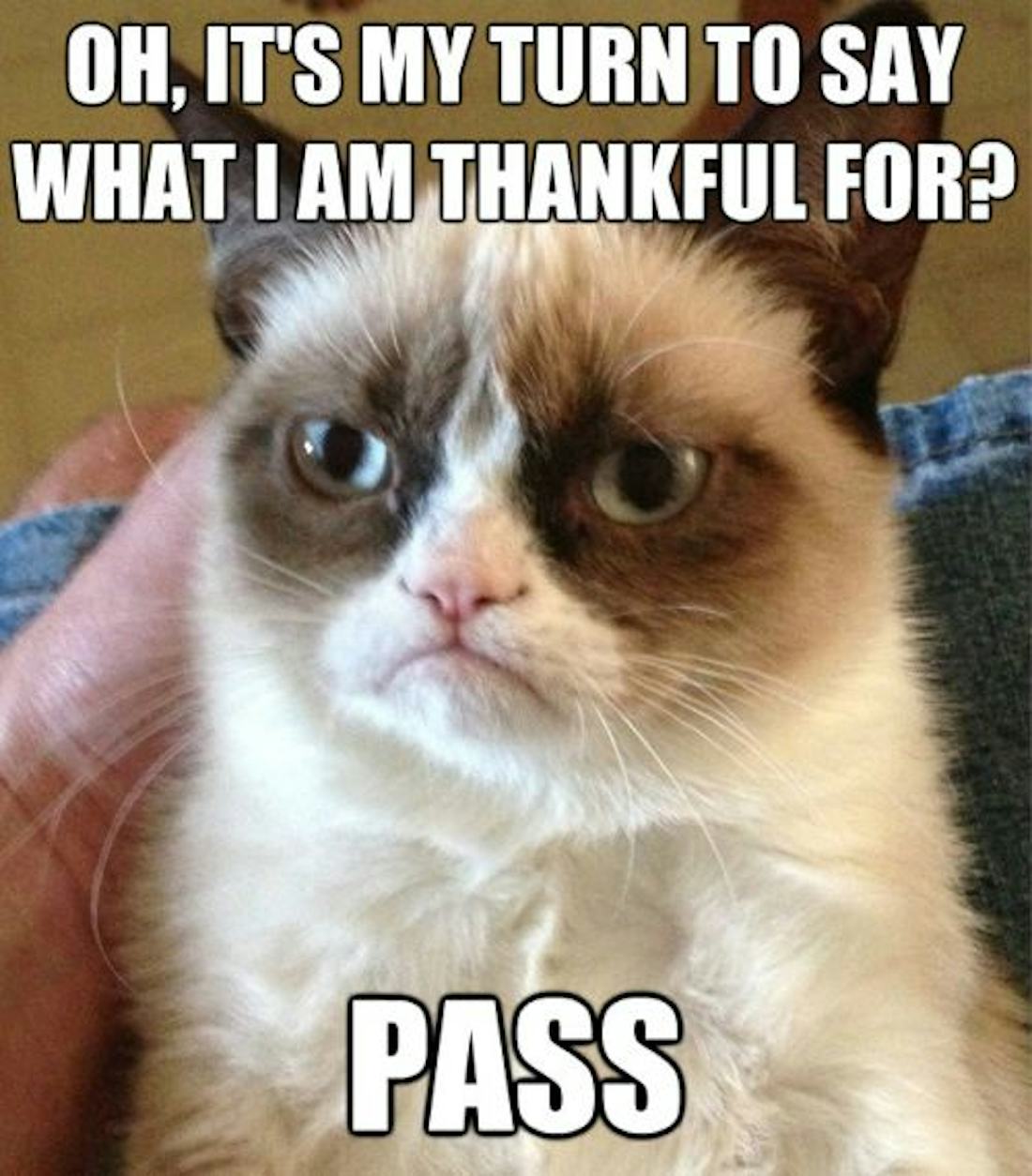 14 Thanksgiving Memes To Help You Survive The Holiday With Your Family