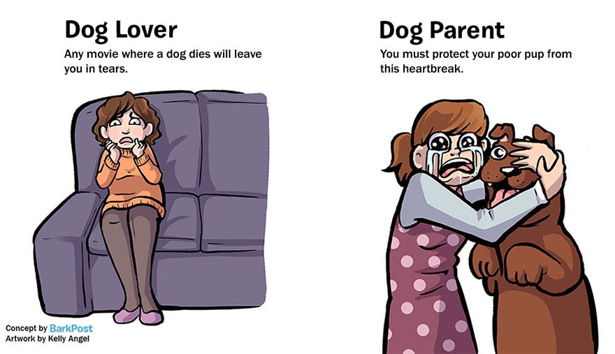 This Comic About Dog Lovers Versus Dog Parents Is Adorably Accurate ...
