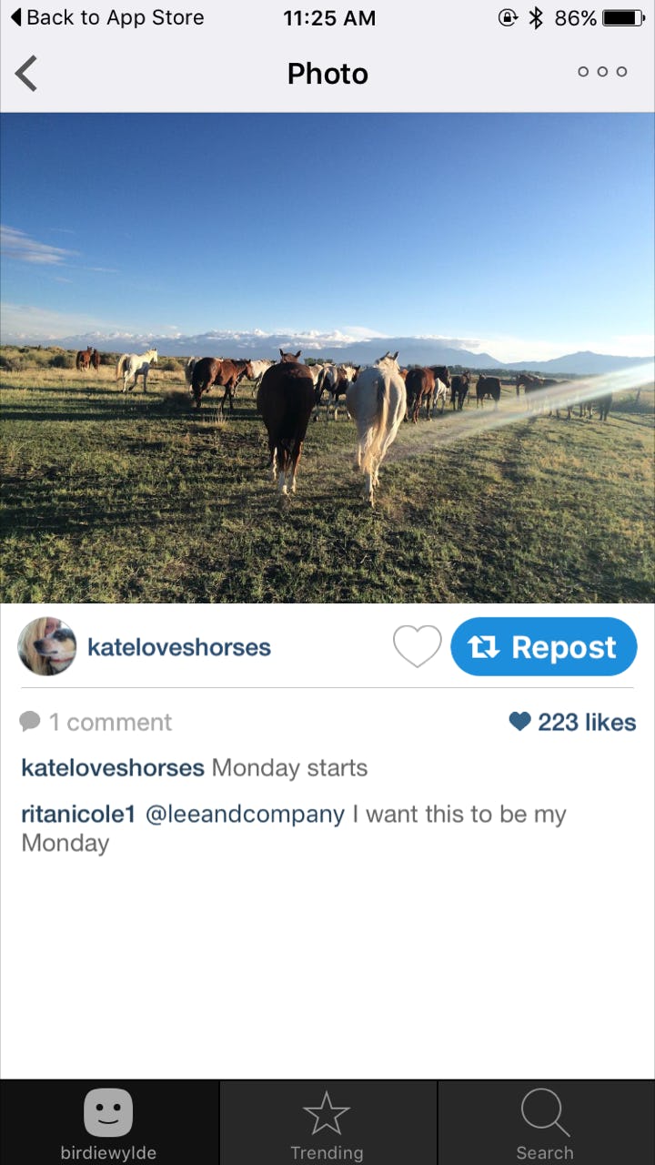 How To Repost Pictures On Instagram (Spoiler Alert: It's Really Easy)