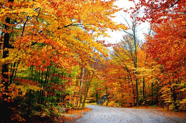 Why Fall Is The Best Season: 21 Cozy Things To Look Forward To As ...