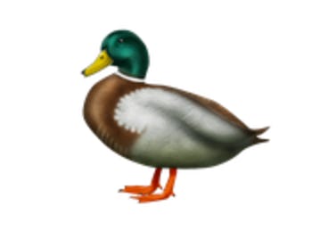 All 72 New Unicode 9 Emoji, Definitively Ranked From Most Exciting To ...