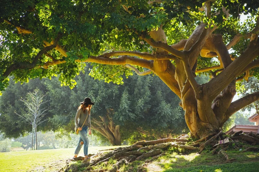 11 Ways To Bring More Positive Habits & Rituals Into Your Life