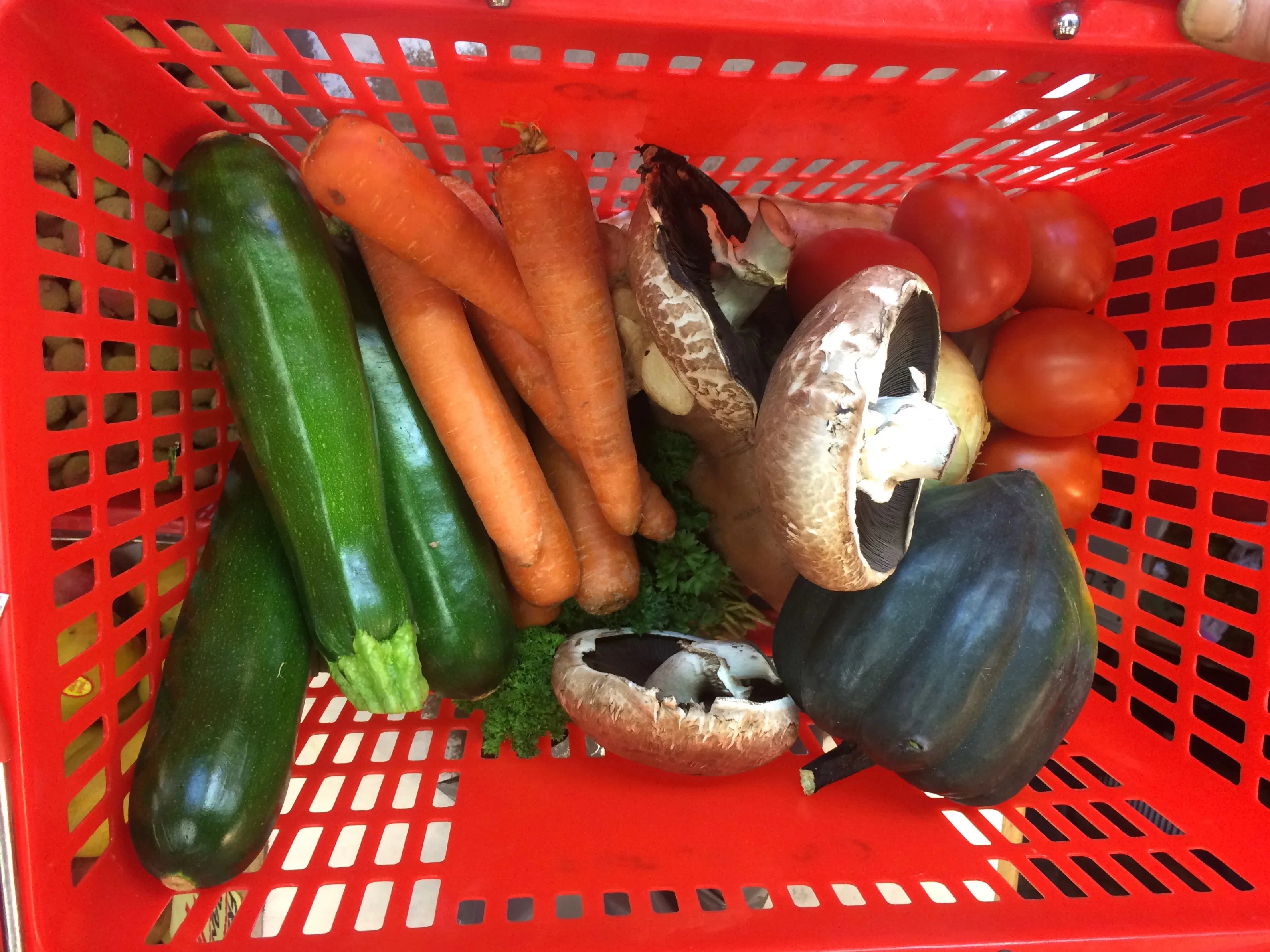I Tried Living Zero-Waste & Plastic-Free For Two Weeks