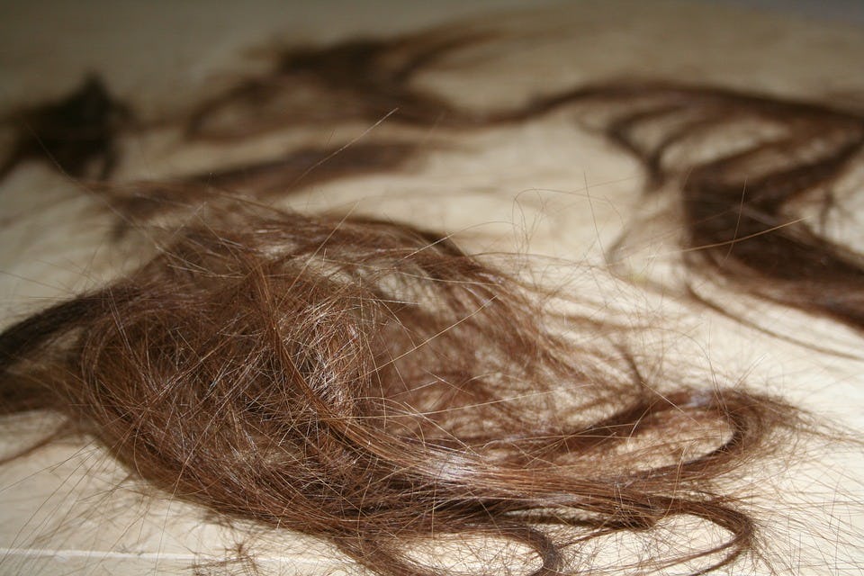 11 Super Common Hair Myths That Everyone Believes Busted, According To ...