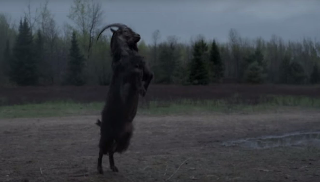 6 'The Witch' Trailer Moments That Prove You Won't Want To See This ...