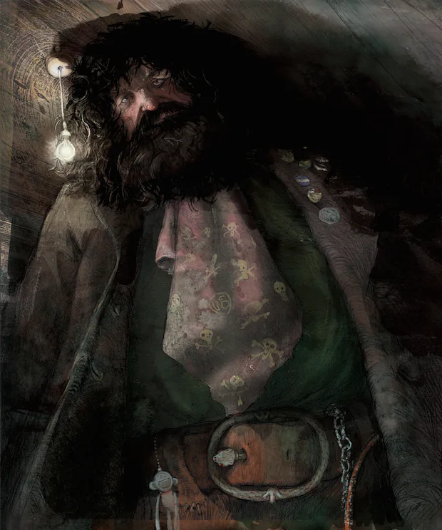 Sneak Peeks of New Illustrated 'Harry Potter and the Sorcerer's Stone ...