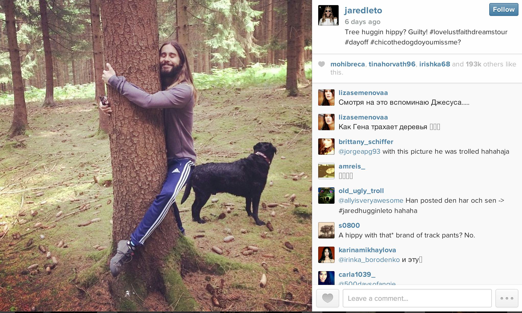 Jared Leto Hugging Things Will Probably Be Your New Favorite Meme Ever