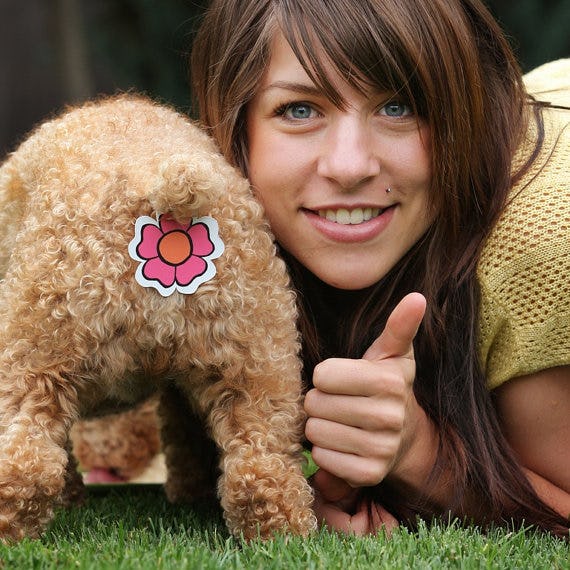 SoftClaws, Testicle Implants, and 8 Other Totally Insane Pet Accessories