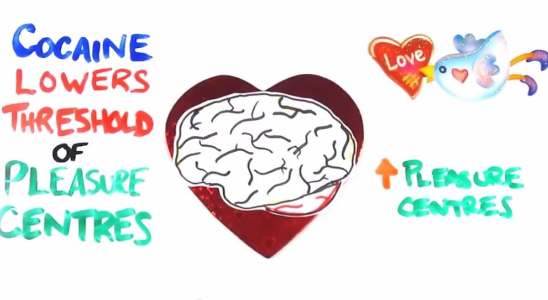 AsapSCIENCE's "The Science of Love" Video Reveals What's Going On in ...