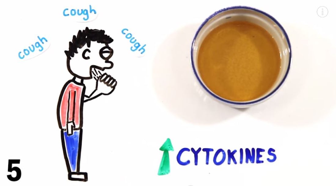 ASAP Science's “8 Sick Remedies That Actually Work” Video Is the Flu ...