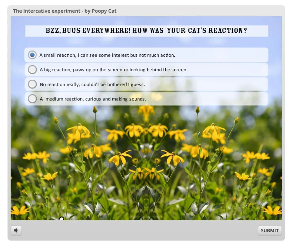 What's Your Cat's Personality? I Made My Furry Buddy Take Poopy Cat's ...